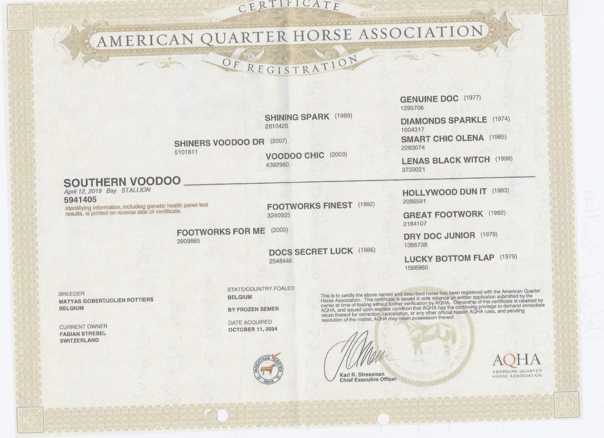 Southern Voodoo[shortcode-variables slug="sold"] - Ludwig Quarter Horse